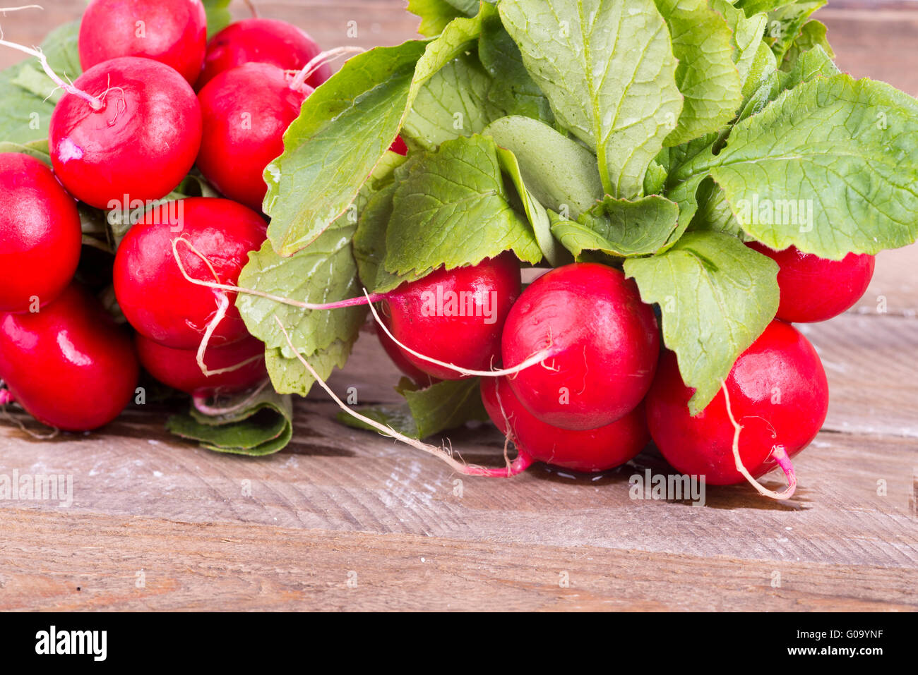 a photo of fresh red radishes Stock Photo - Alamy
