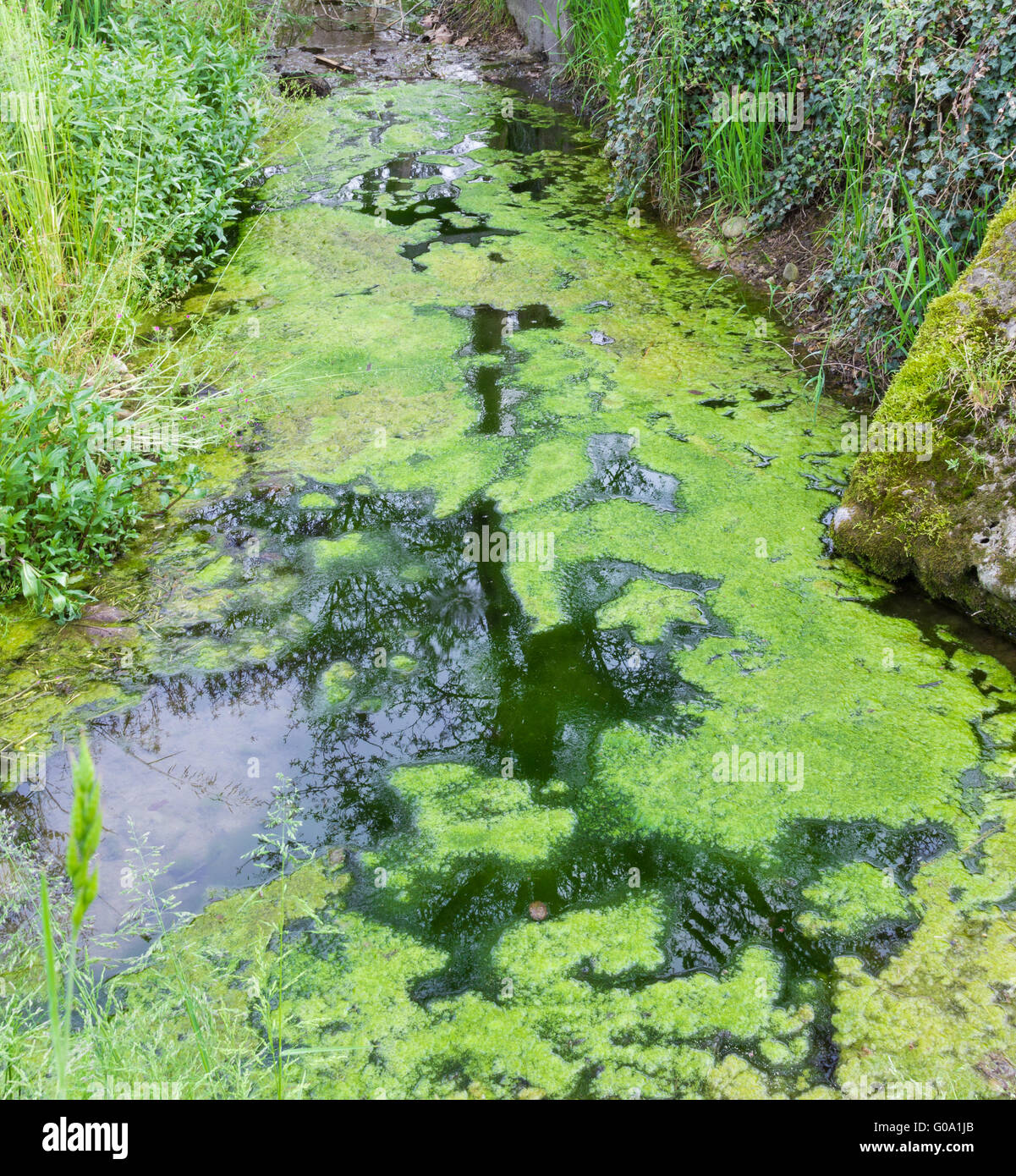 Channels of the irrigation system Stock Photo - Alamy