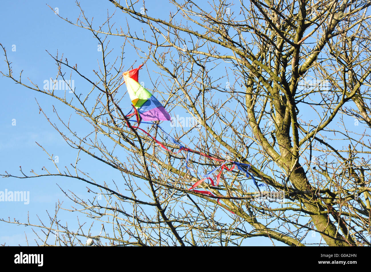 Unusual kite hi-res stock photography and images - Alamy