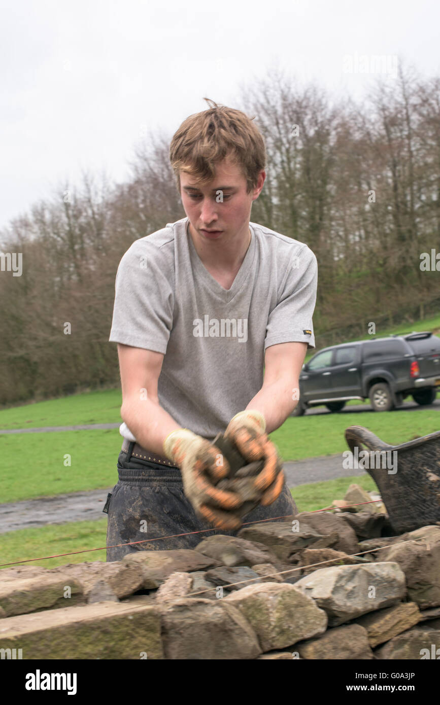Worker building dry stone wall Stock Photo - Alamy