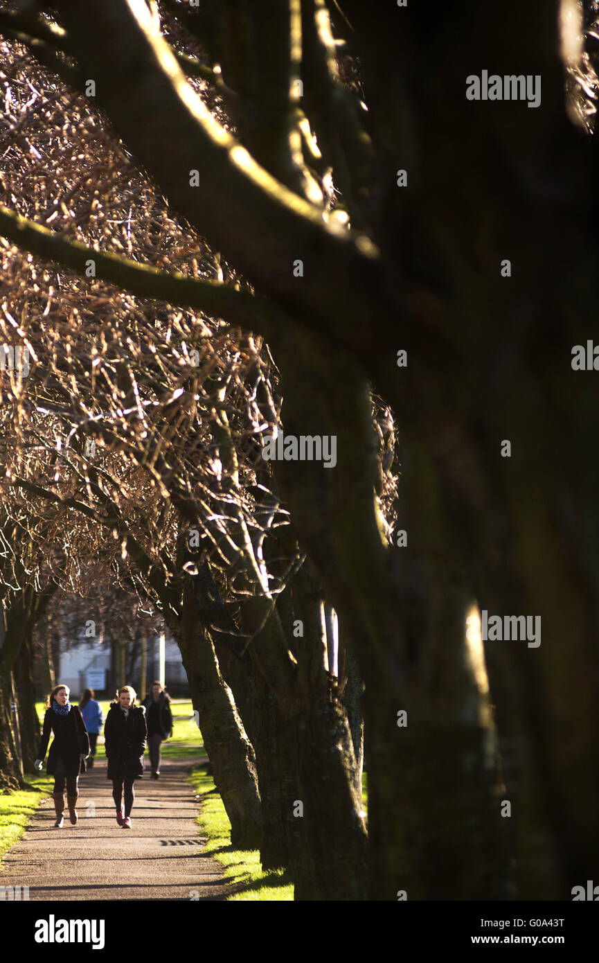 The Meadows, Edinburgh Stock Photo - Alamy