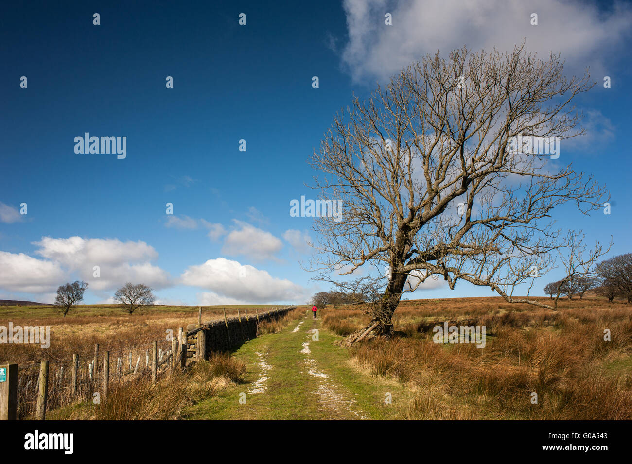 The Stocks Reservoir Circular Walk near New House Stock Photo - Alamy