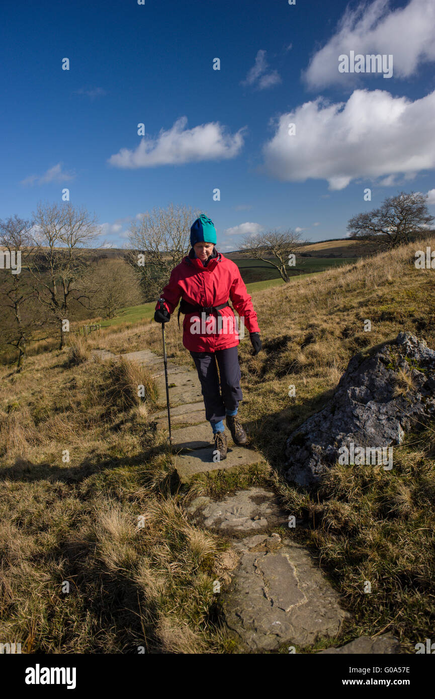 Walking the Stocks Reservoir Circuit near Slaidburn in Lancashire Stock ...