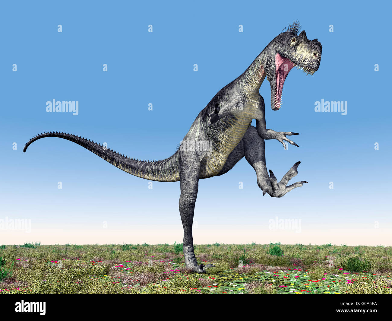 Megalosaurus This High Resolution Stock Photography and Images - Alamy