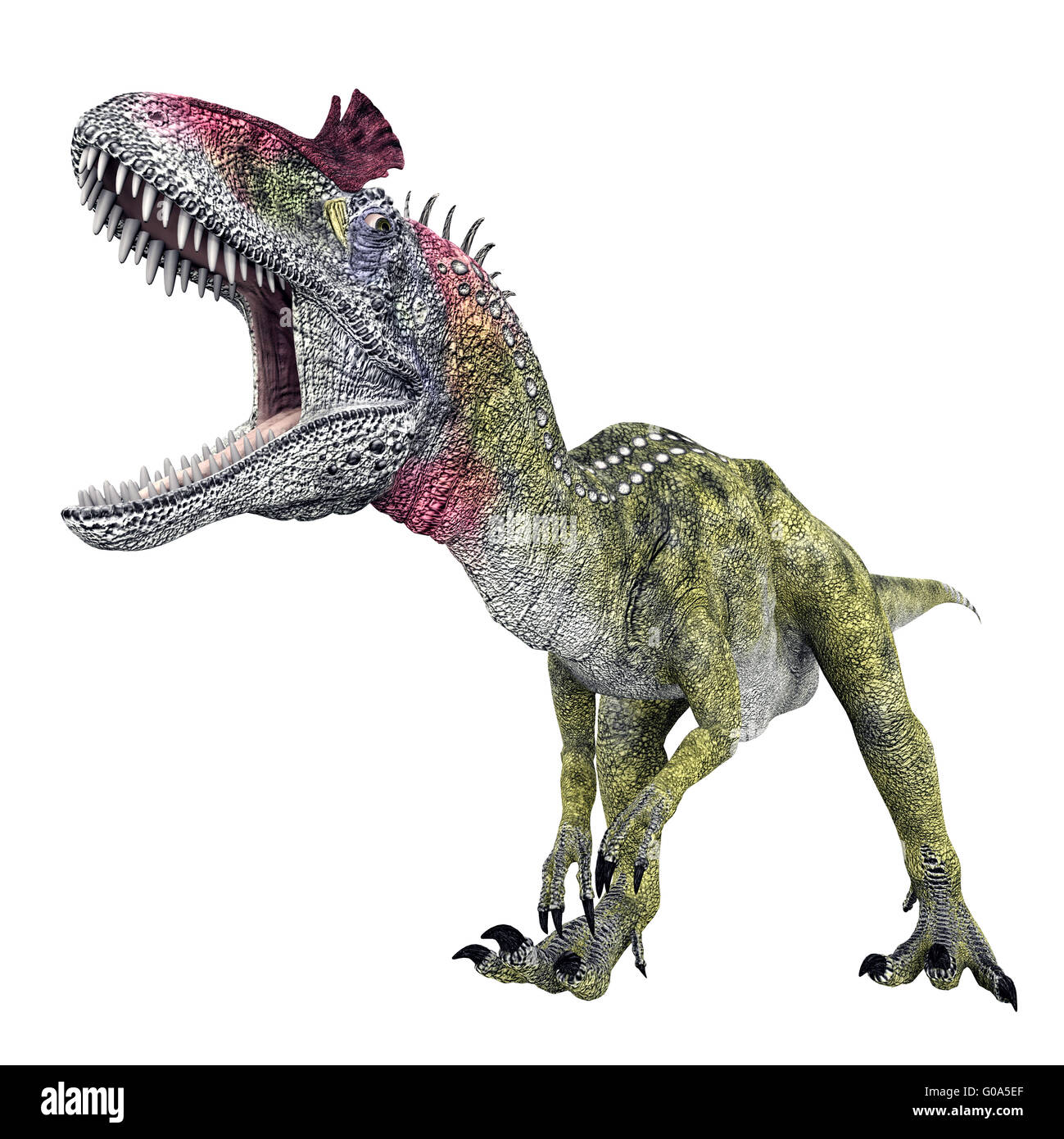 Dino hintergrund hi-res stock photography and images - Alamy