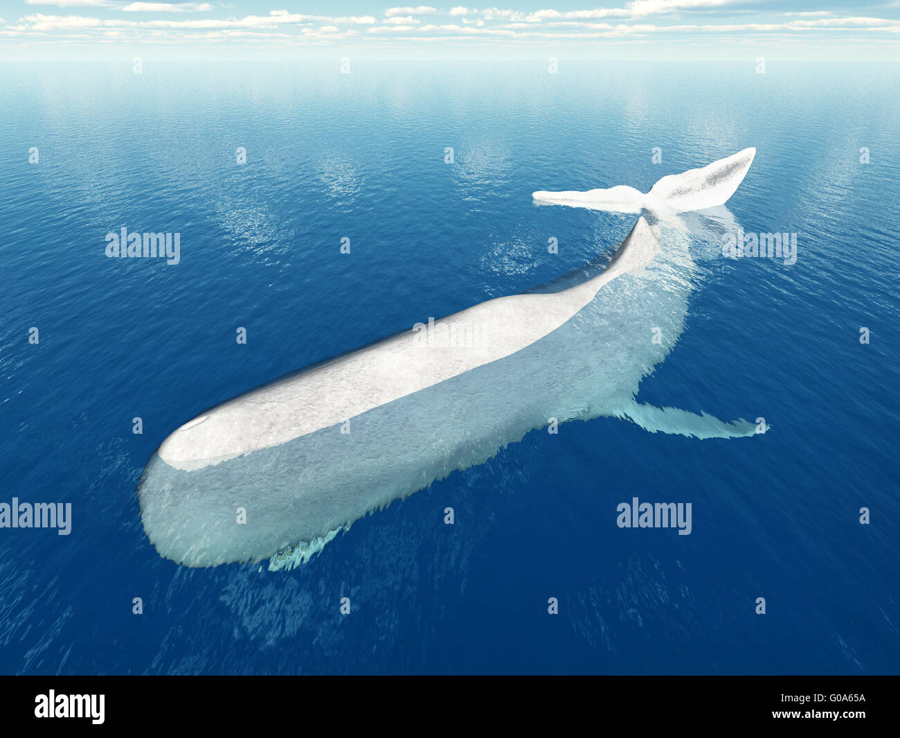 White sperm whale hi-res stock photography and images - Alamy