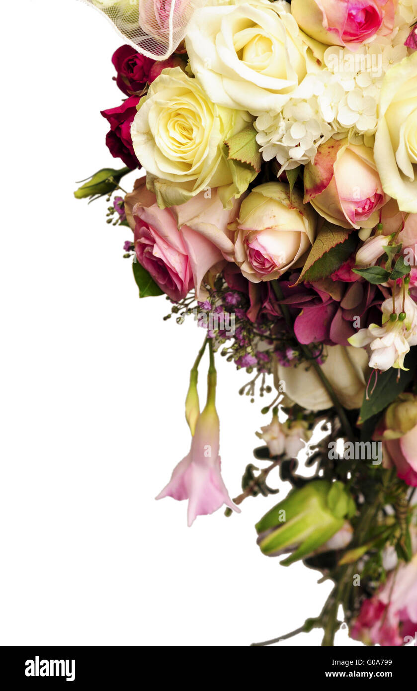bridal flower, isolated Stock Photo - Alamy