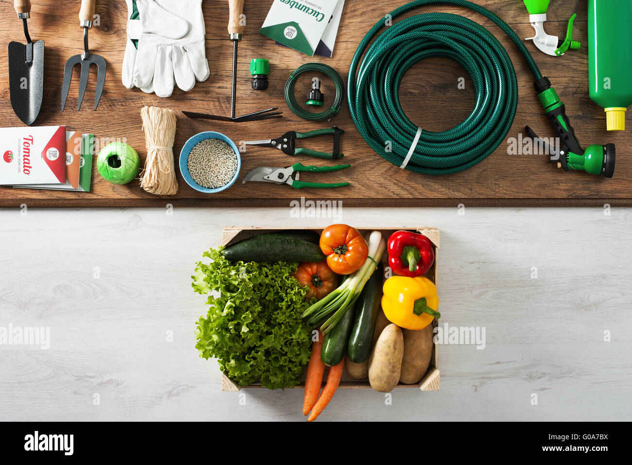 Gardening and farming tools on a wooden table and crate filled with ...