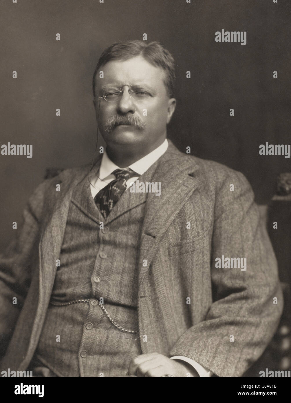 Theodore roosevelt portrait hi-res stock photography and images - Alamy
