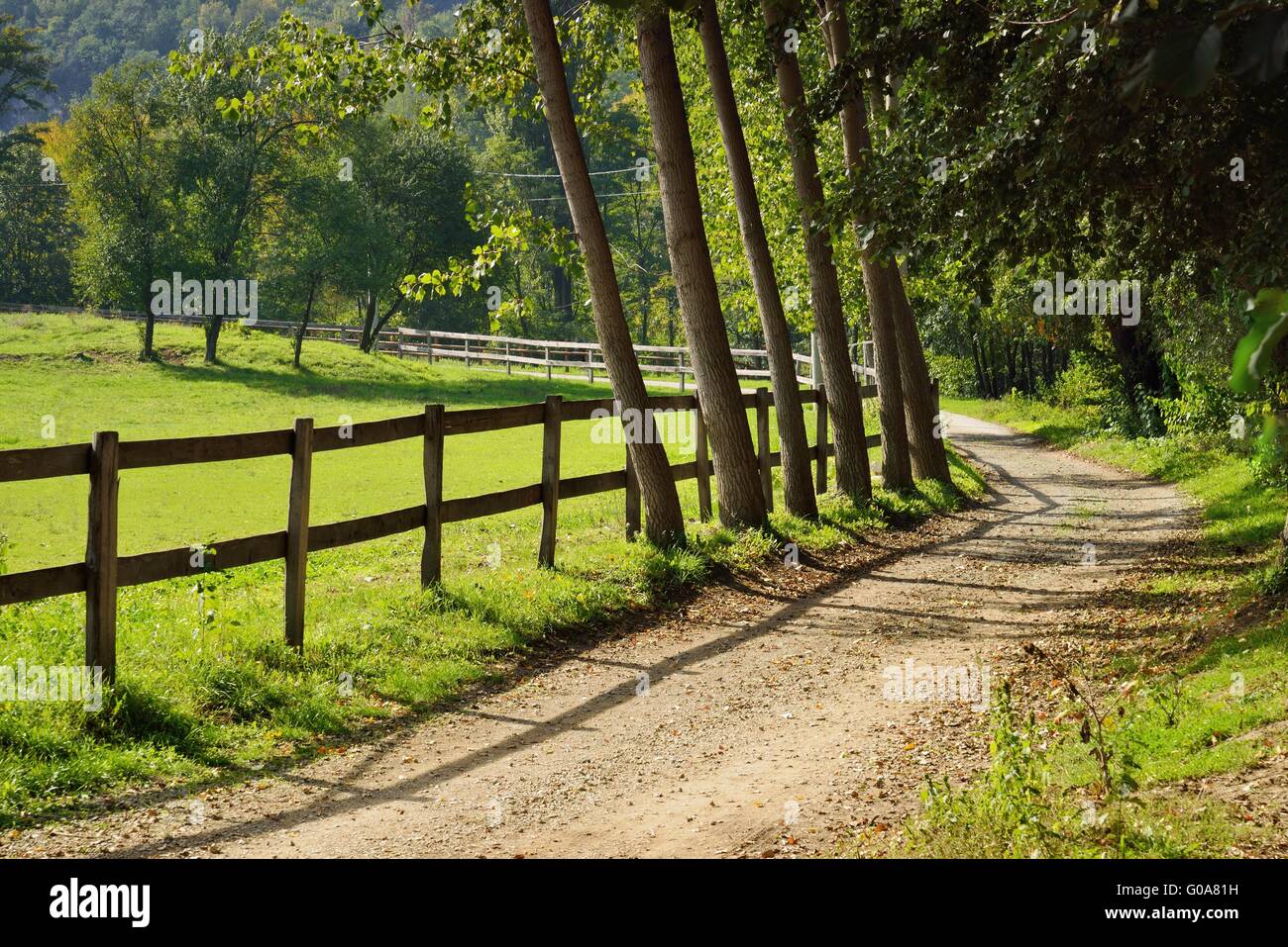 Road in Countryside Stock Photo - Alamy