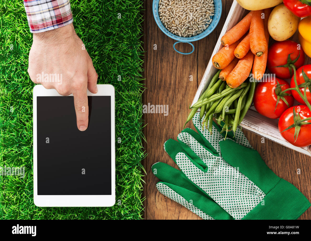 Digital tablet on grass, fresh vegetables and farmer's hand touching ...