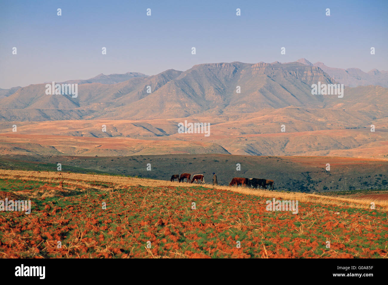 Lesotho Landscape High Resolution Stock Photography and Images - Alamy