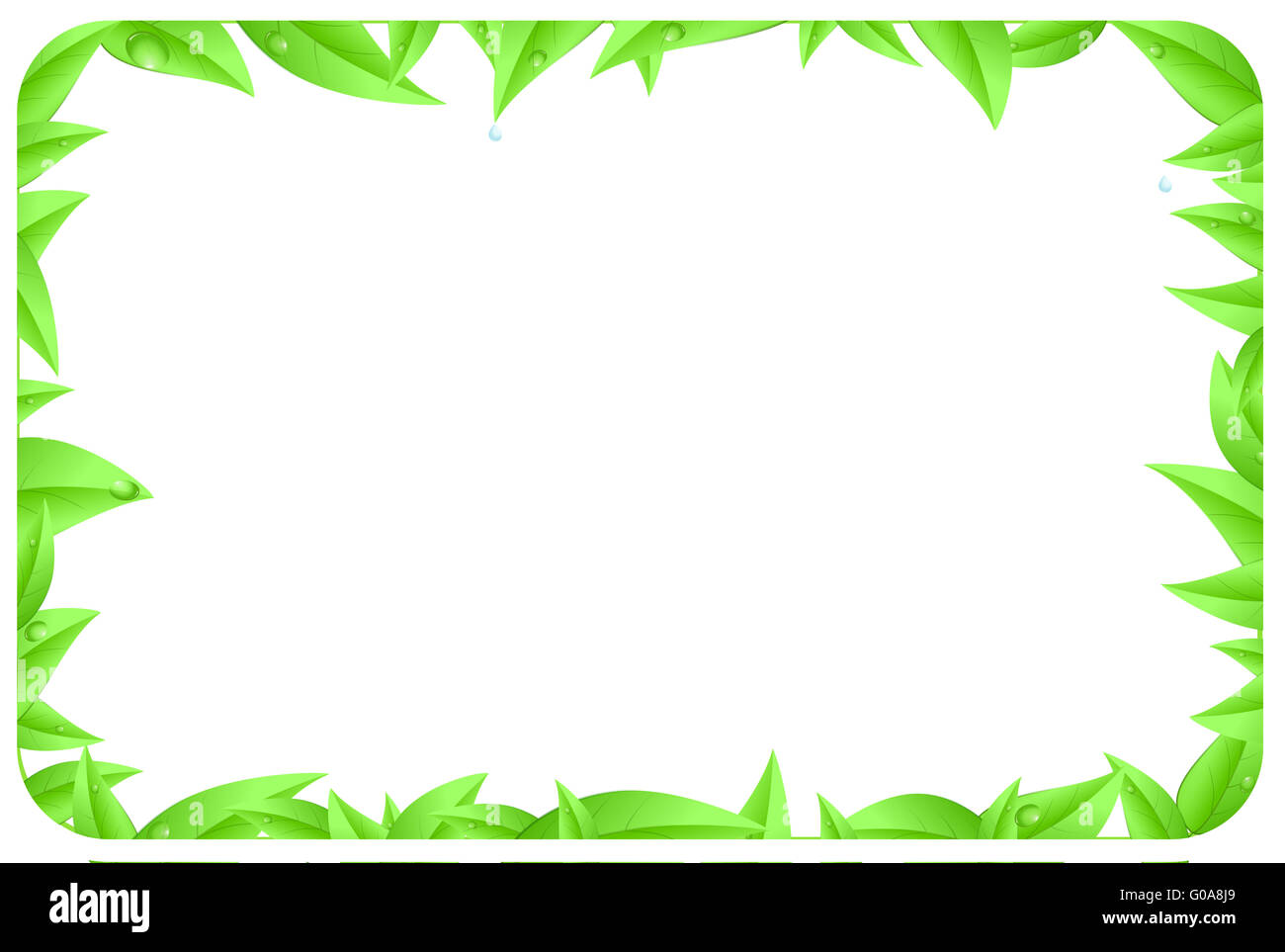 Green Page Border