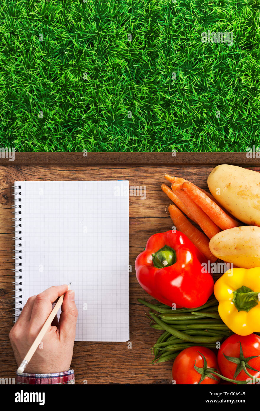 Farmer's notebook with fresh vegetables and green grass, male hand ...