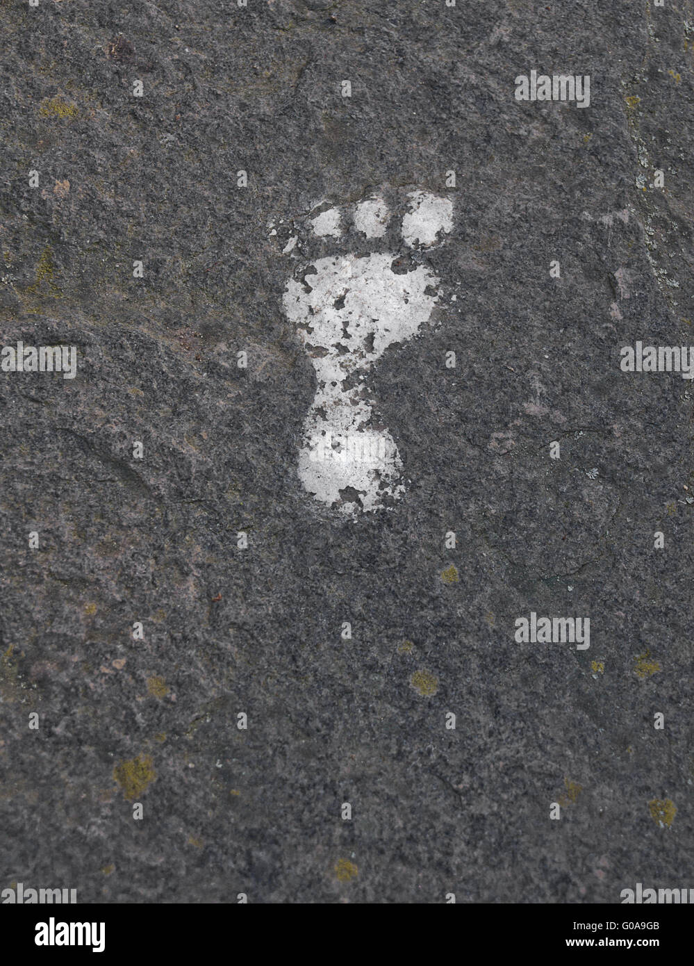 White footprint hi-res stock photography and images - Alamy