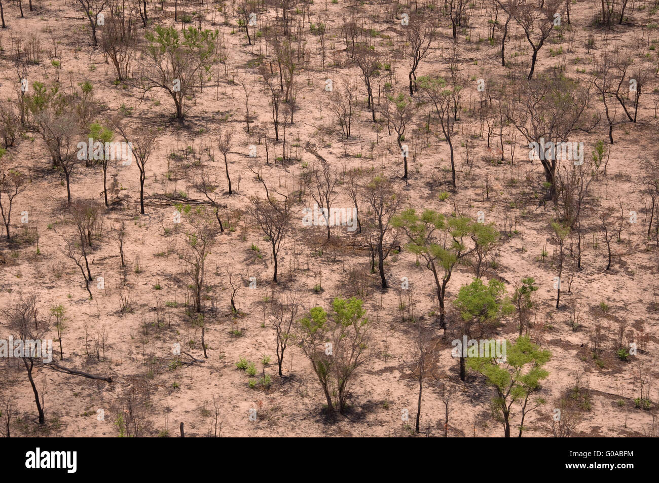 Rundu Namibia High Resolution Stock Photography and Images - Alamy