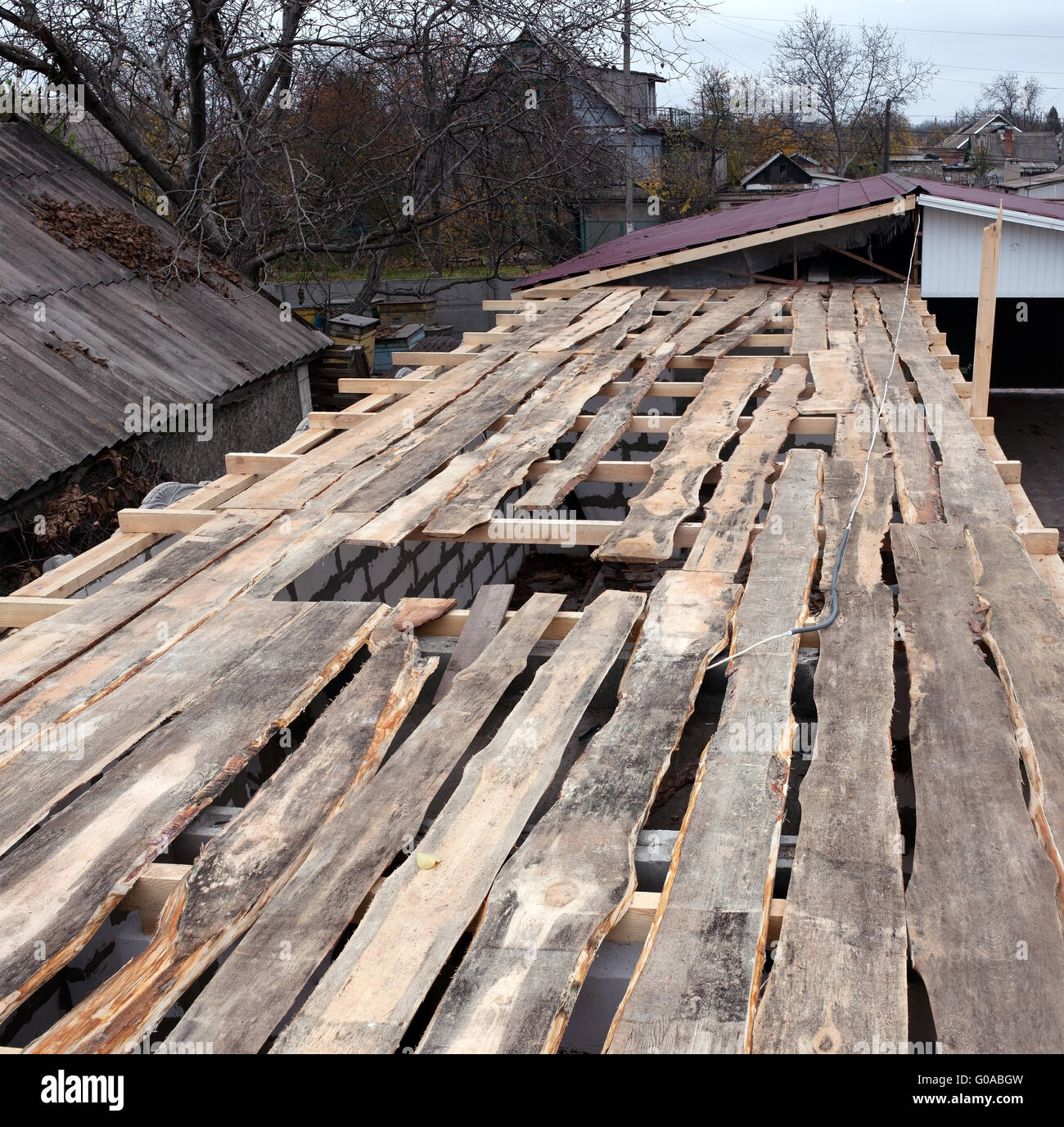 Building fungus hi-res stock photography and images - Alamy