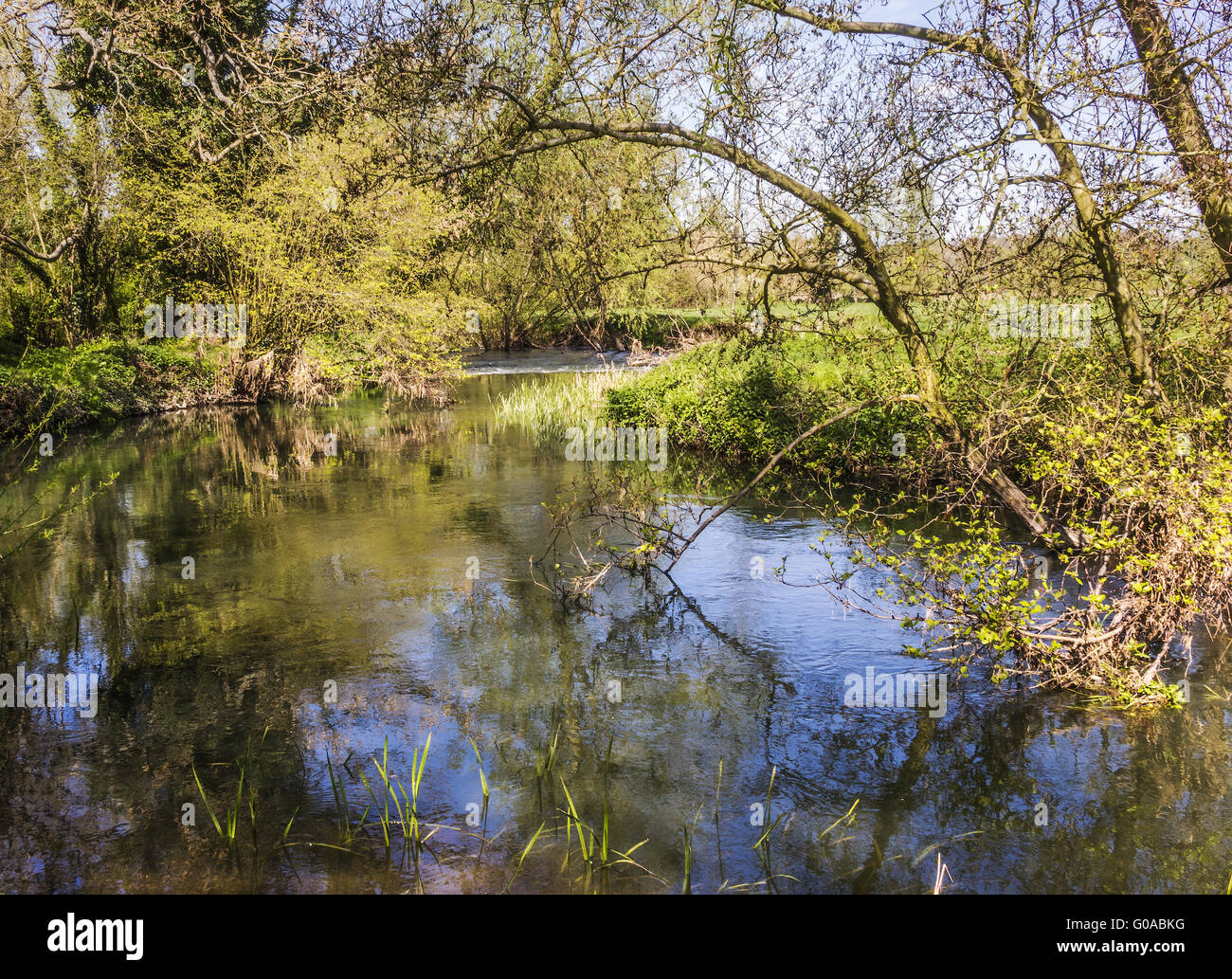 Lodden High Resolution Stock Photography and Images - Alamy