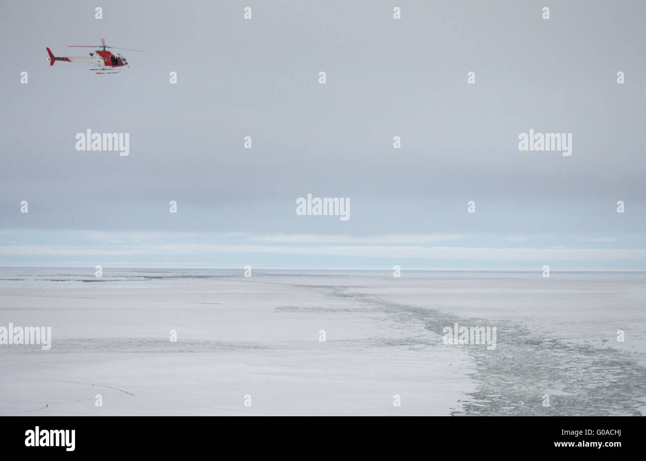 helicopter in the sea of antarctic Stock Photo - Alamy