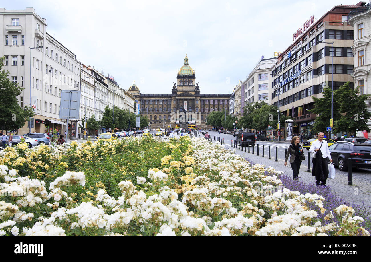 Wenceslas Square in historic centre of Prague Stock Photo - Alamy