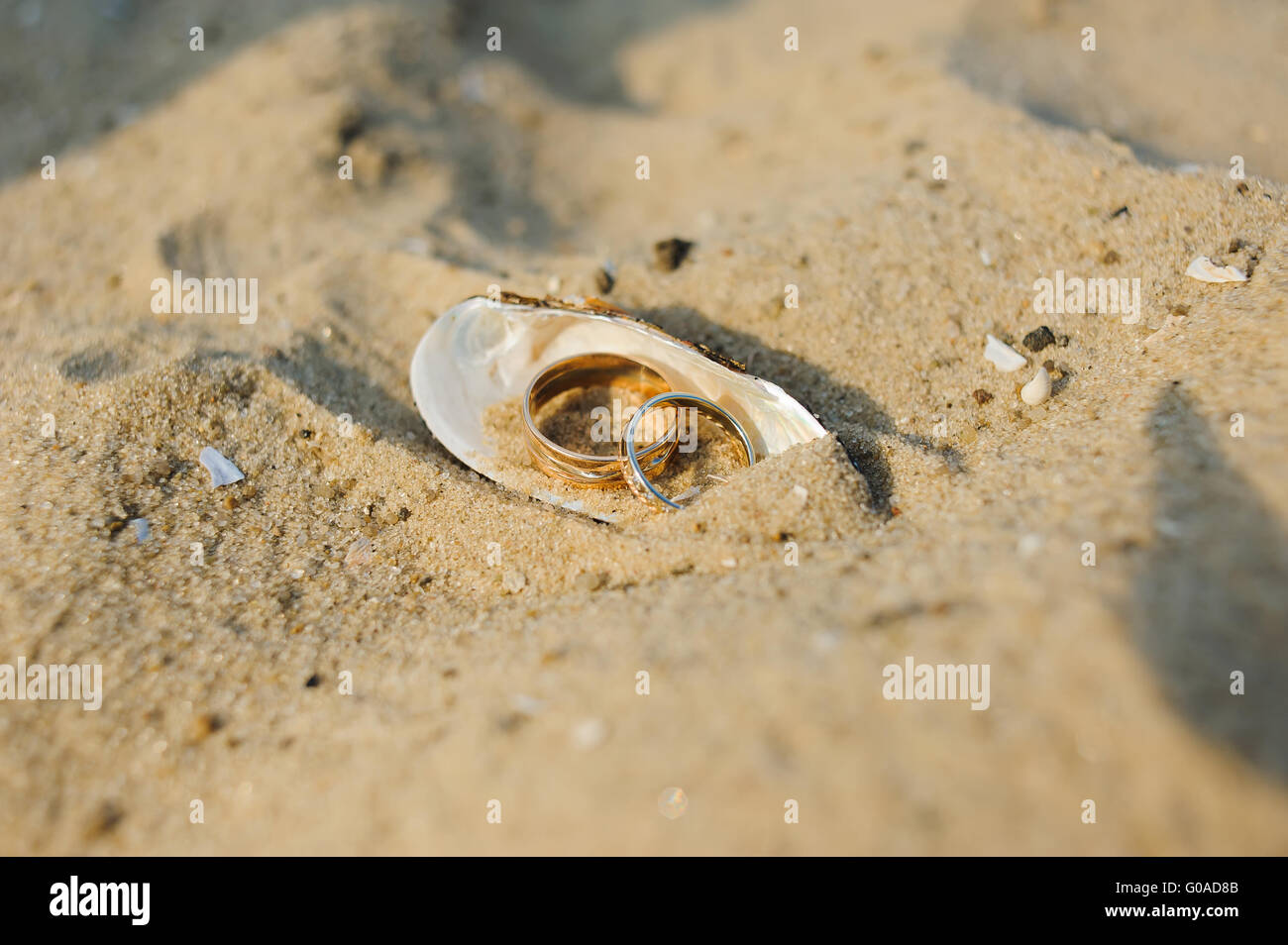 Two wedding rings in a shell Stock Photo - Alamy