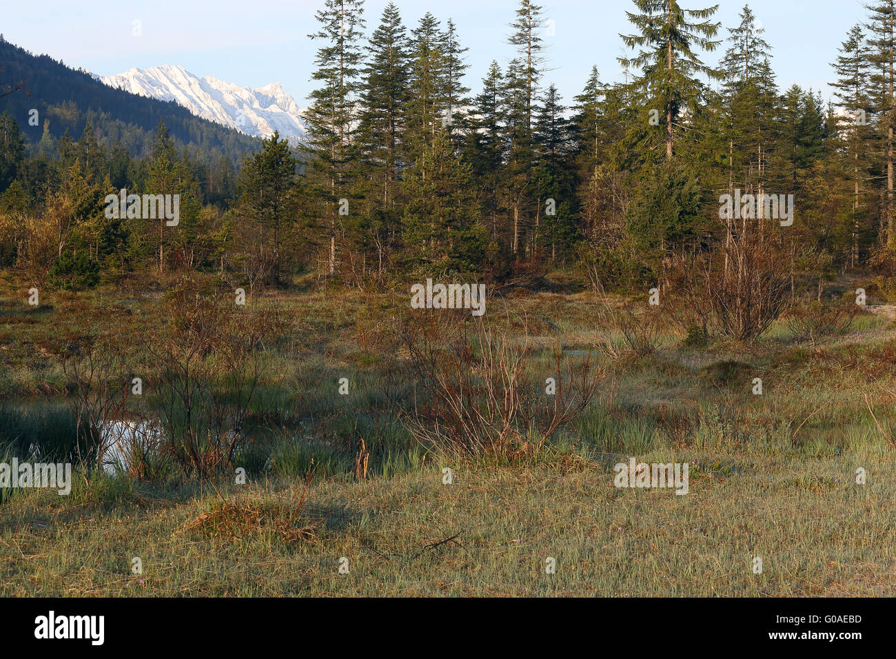 Wild river landscape of the upper Isar, Bavaria Stock Photo - Alamy