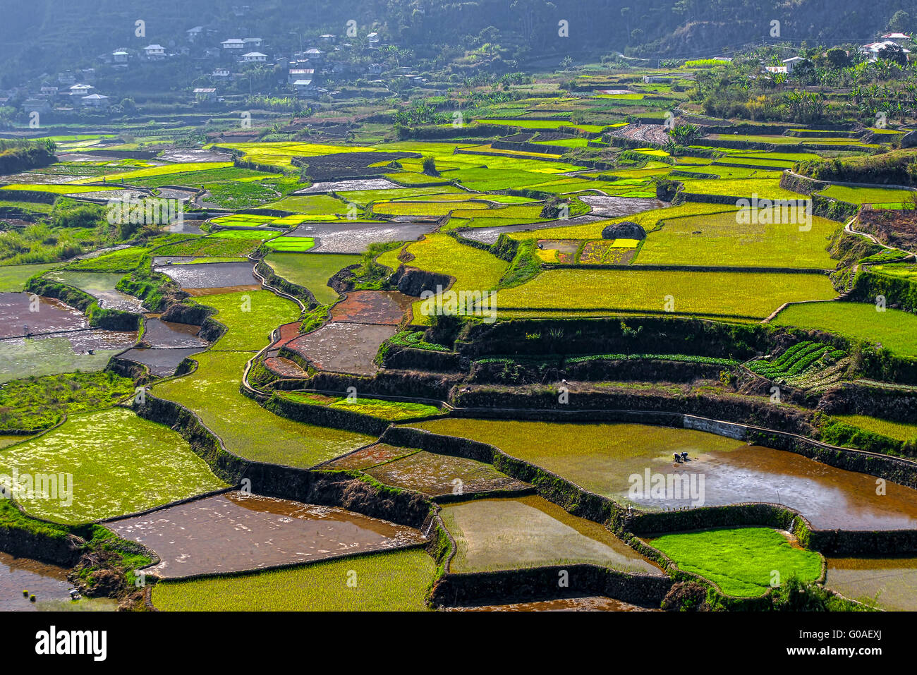 overview of the rice-terraces of Sagada, Luzon, Ph Stock Photo - Alamy
