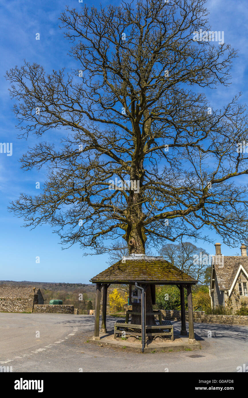 Miserden hi-res stock photography and images - Alamy