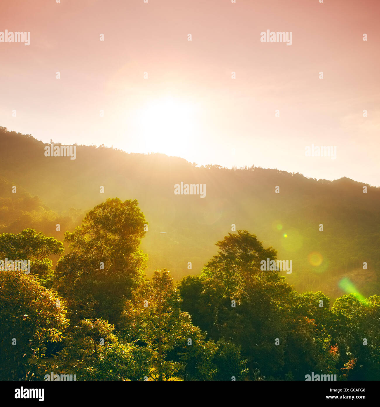 Beautiful Tropic Landscape Stock Photo - Alamy