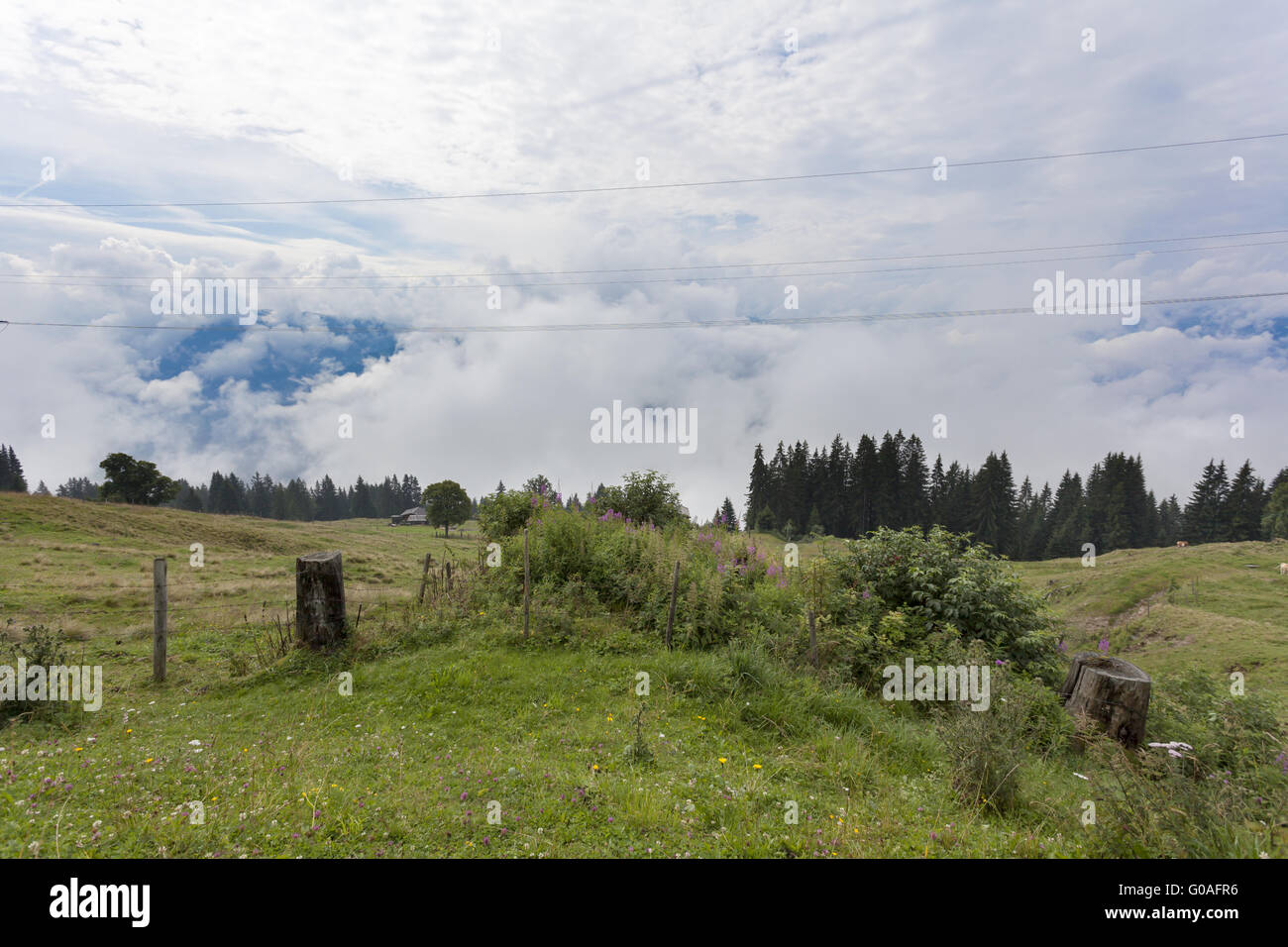 Tirolean Alps High Resolution Stock Photography and Images - Alamy