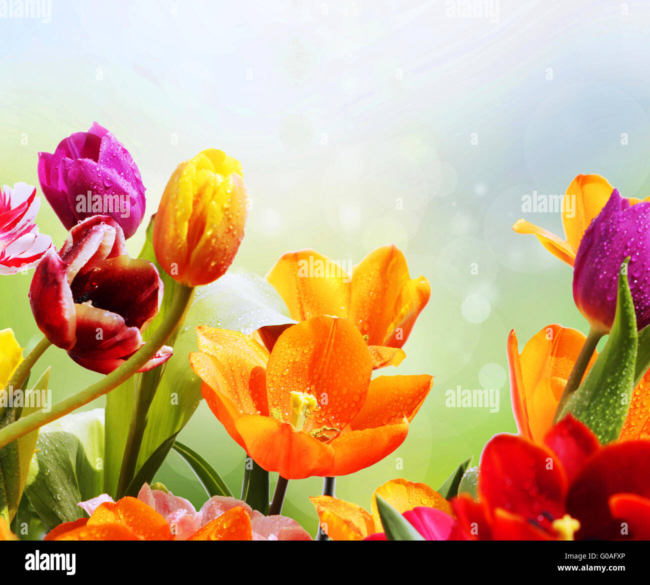 Motif flora hi-res stock photography and images - Alamy
