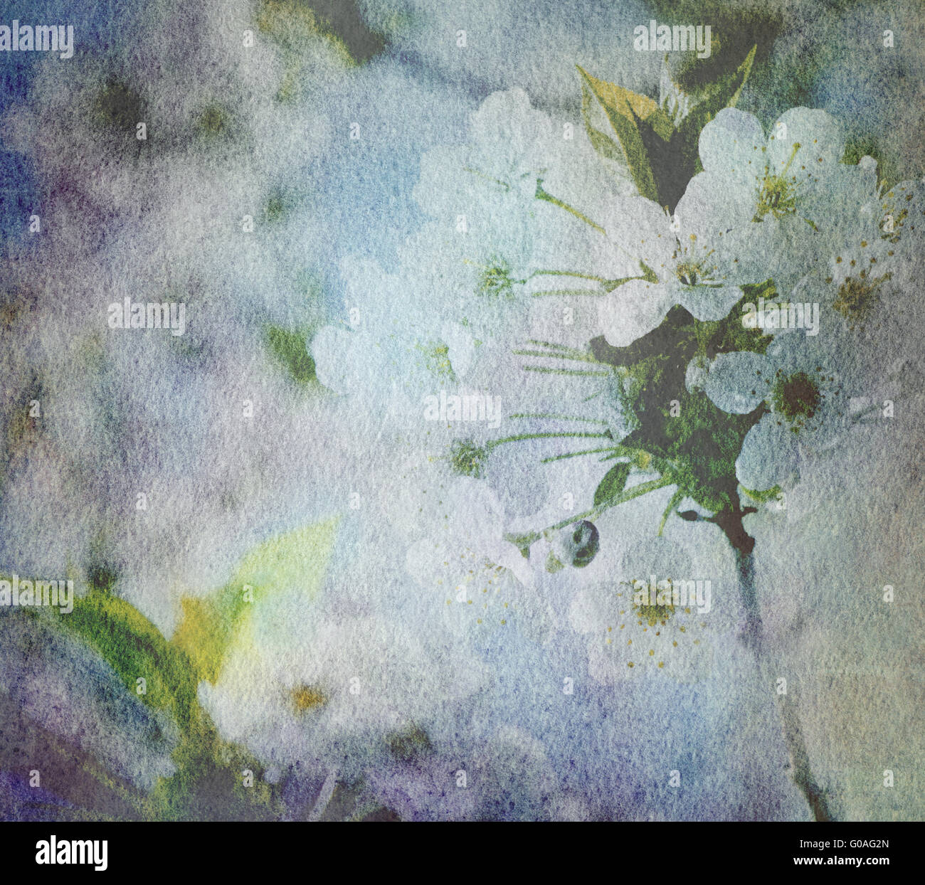 Natur paper hi-res stock photography and images - Alamy