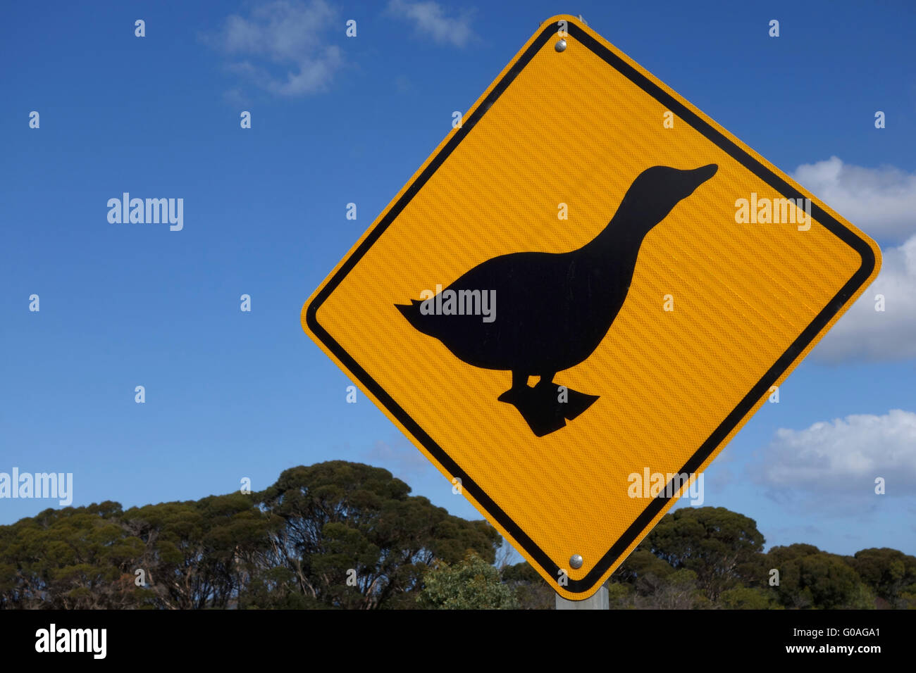 Geese warning sign hi-res stock photography and images - Alamy