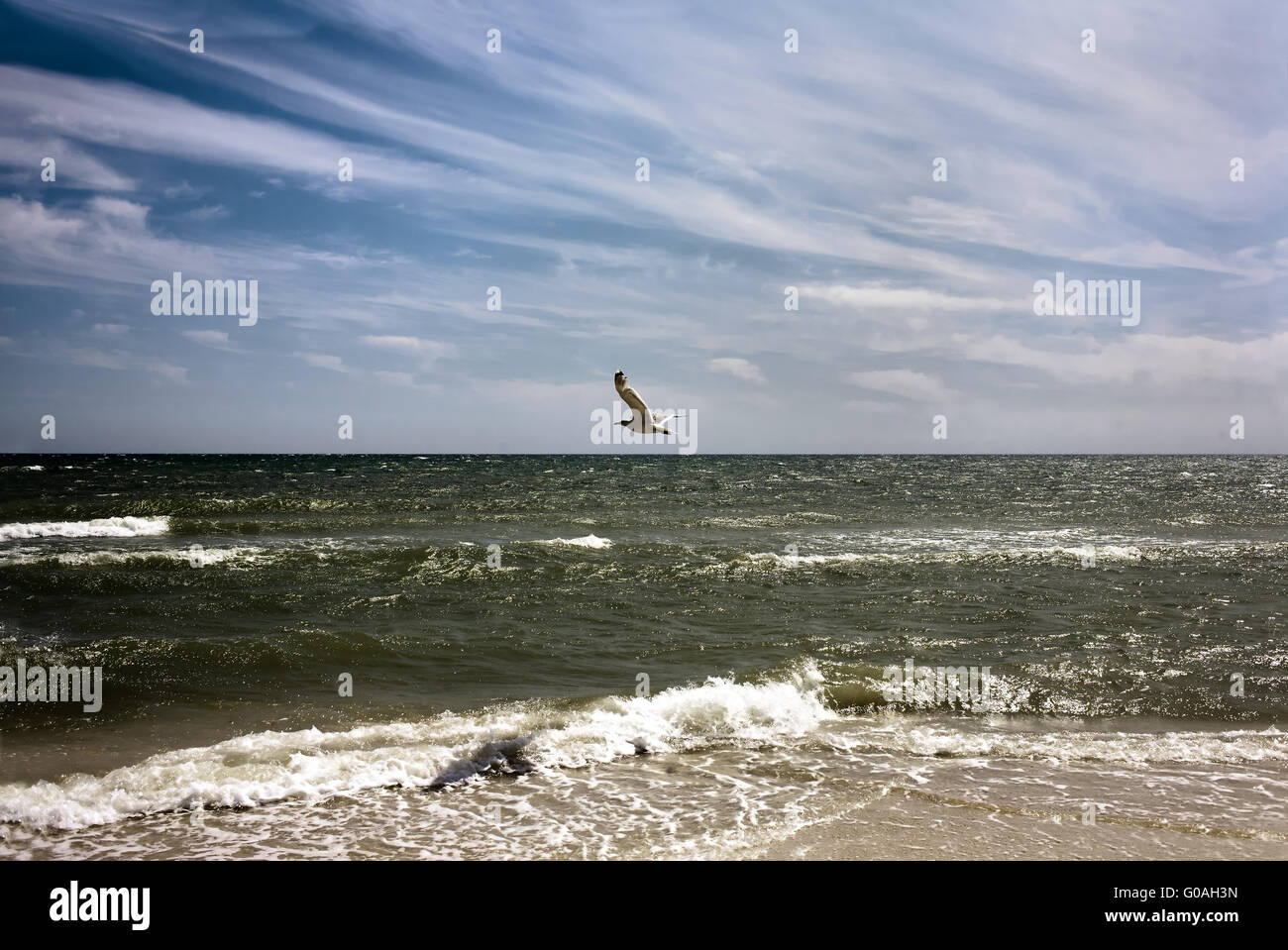 Far Away Bird High Resolution Stock Photography and Images - Alamy