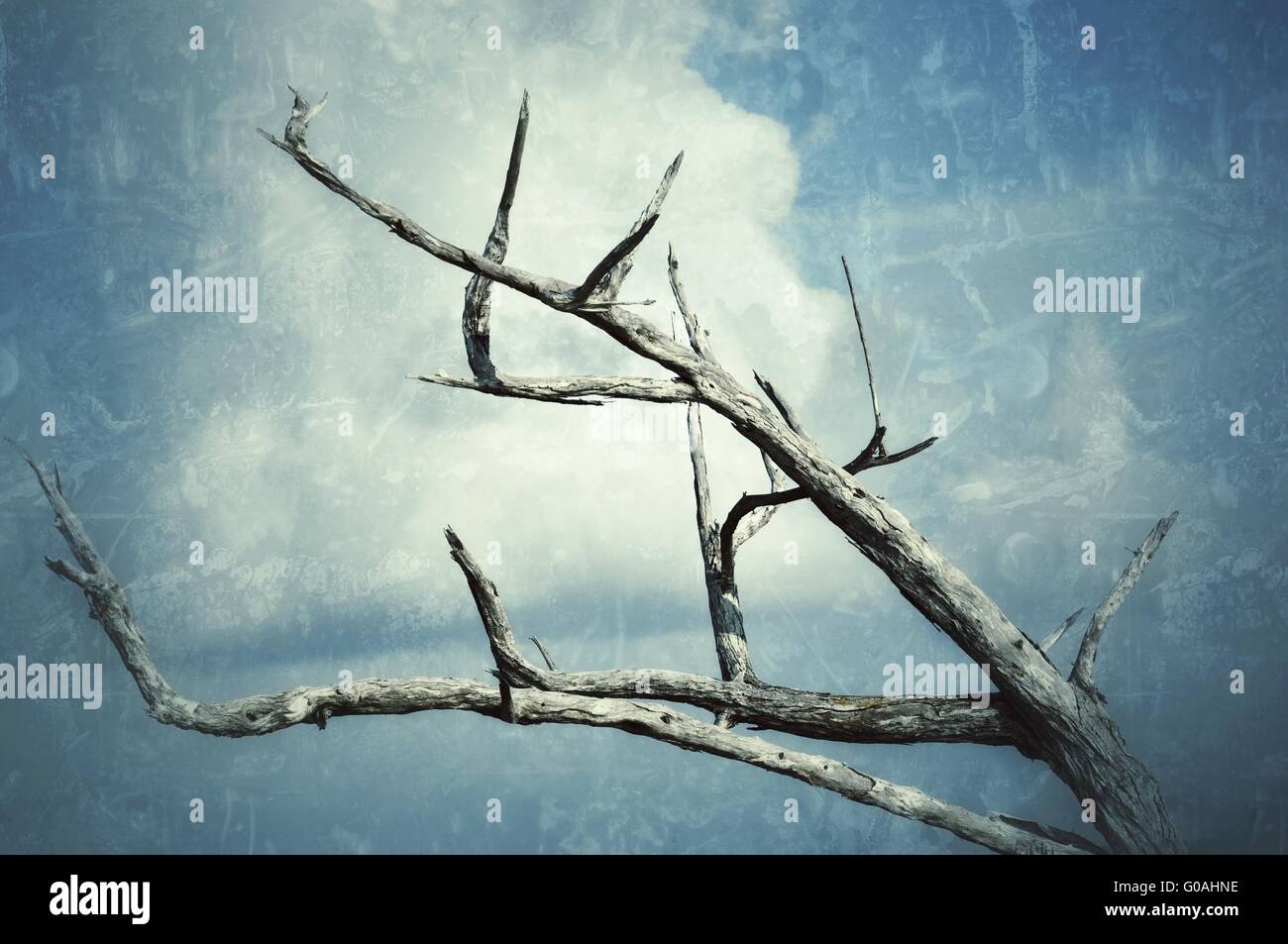 Dead design hi-res stock photography and images - Alamy