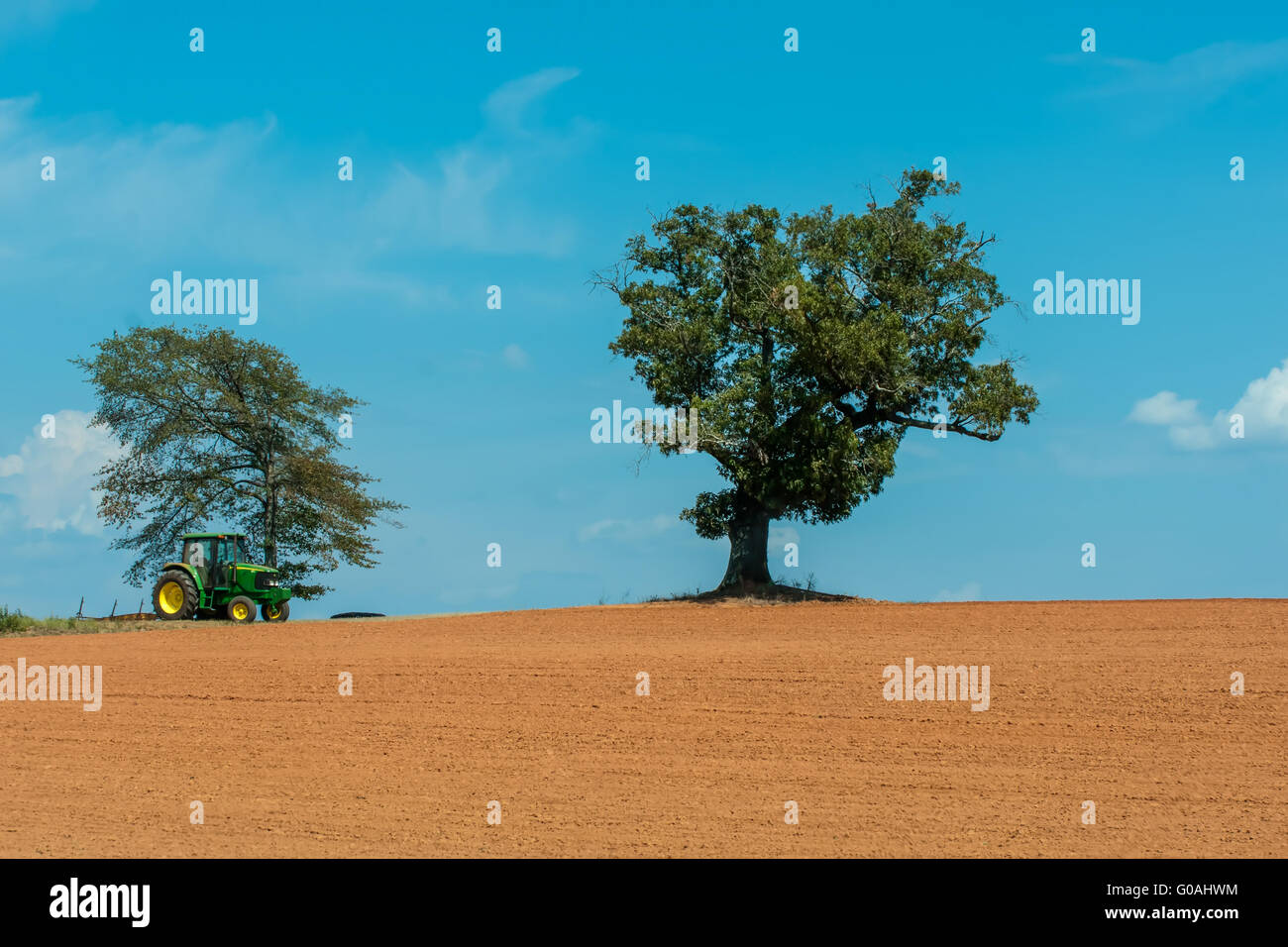 farm field with lone tree Stock Photo - Alamy