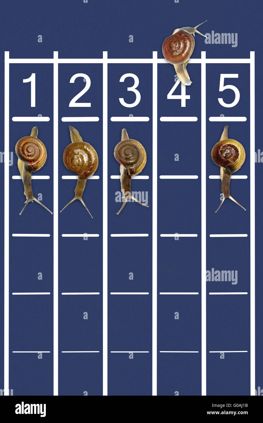 Snails running on track with one snail going backwords Stock Photo - Alamy