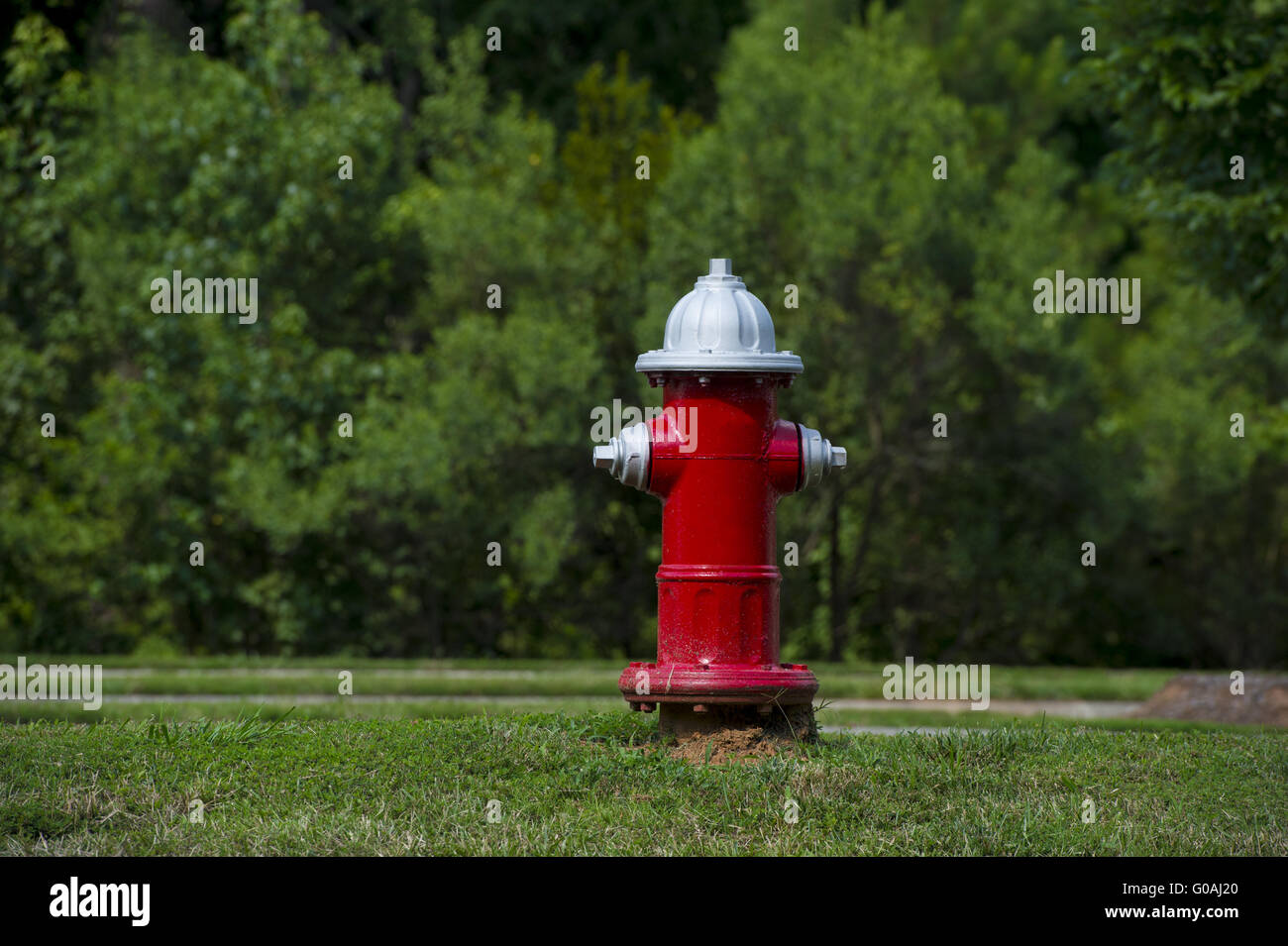 Lawn with red fire hydrant hi-res stock photography and images - Alamy