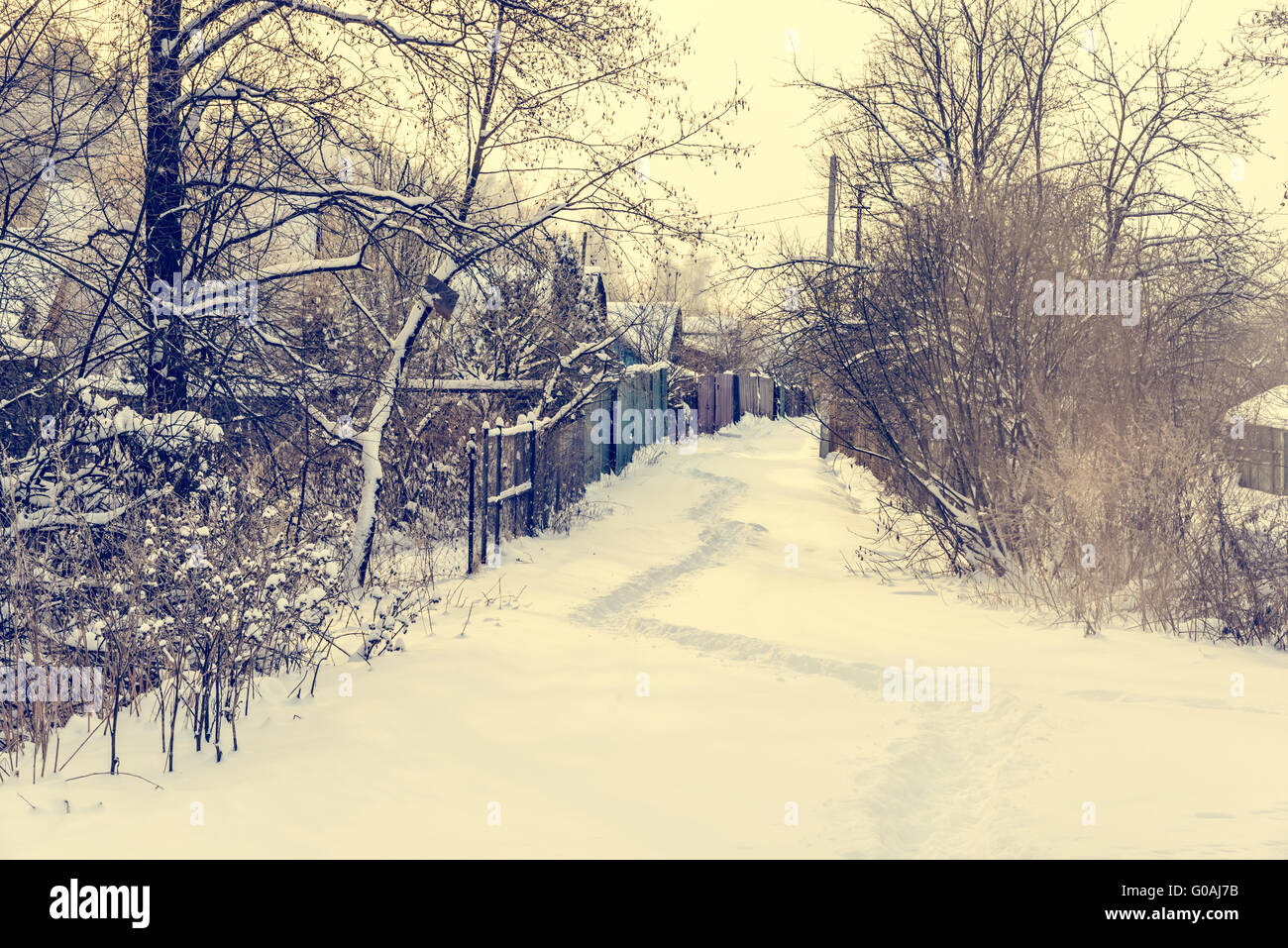 winter human footprints in the snow at sunrise Stock Photo - Alamy