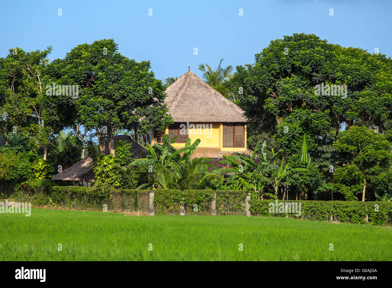Beautiful house on rice fields in Ubud, Bali, Indonesia Stock Photo - Alamy