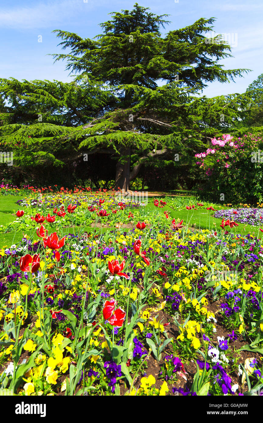 Landscaped flower garden Stock Photo - Alamy