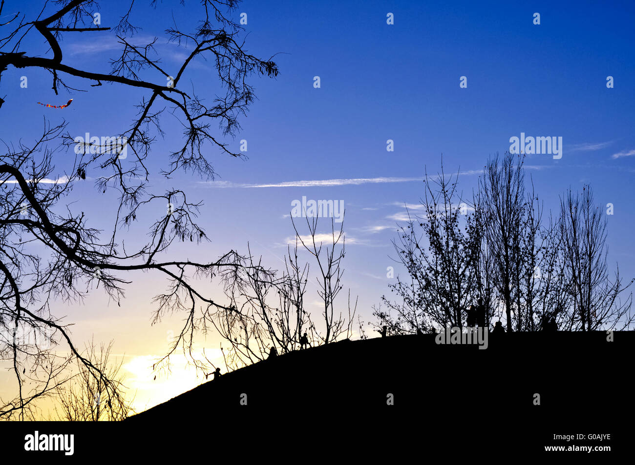 Red kite below hi-res stock photography and images - Alamy