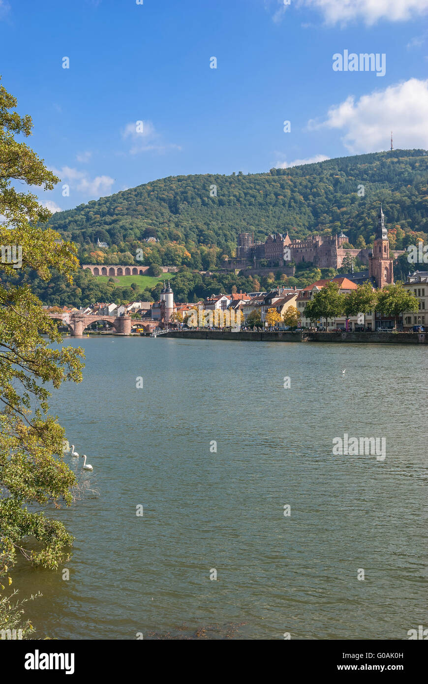 The neckar river hi-res stock photography and images - Alamy