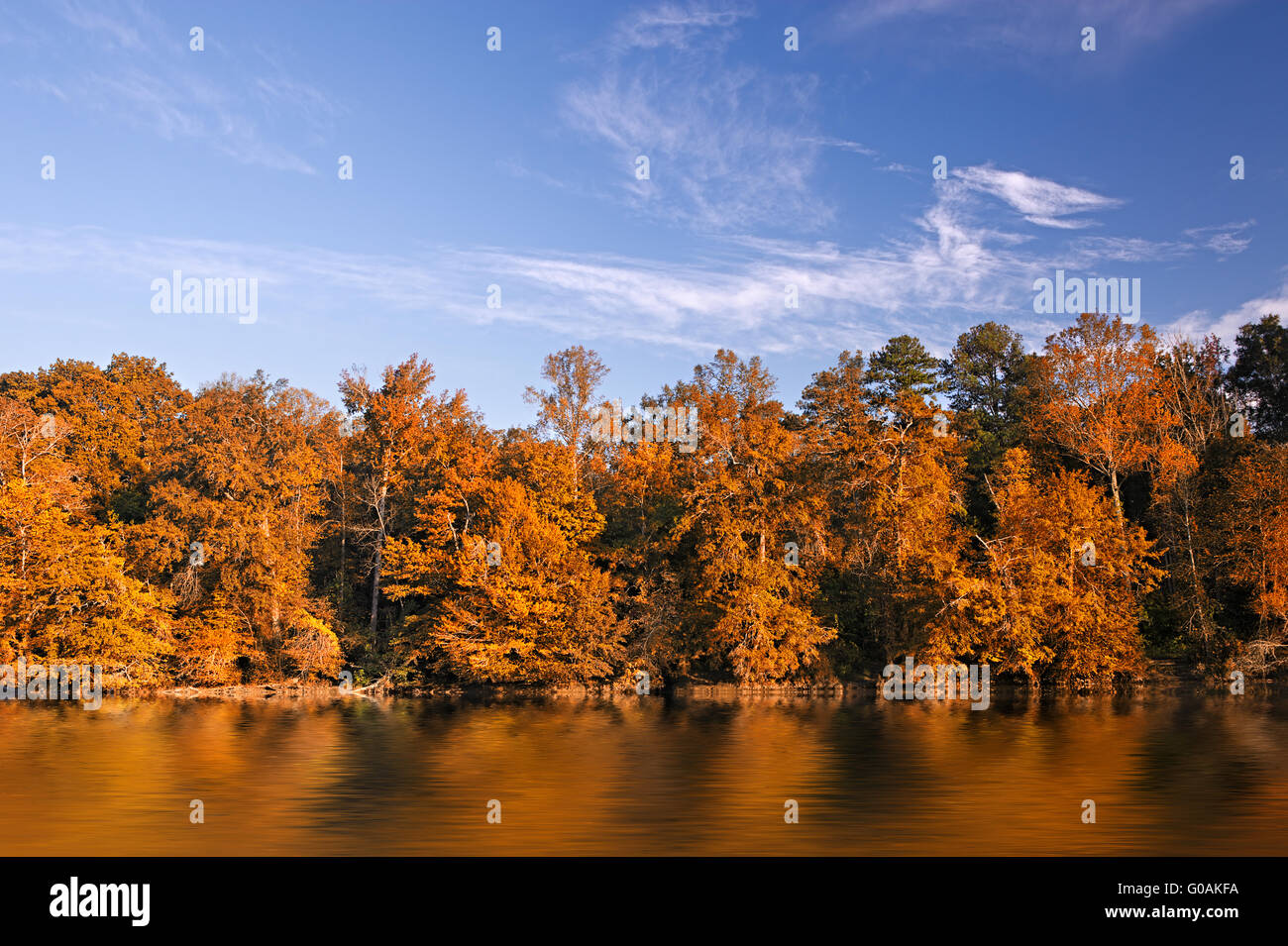 Beautiful fall colors forest reflected in river Stock Photo - Alamy