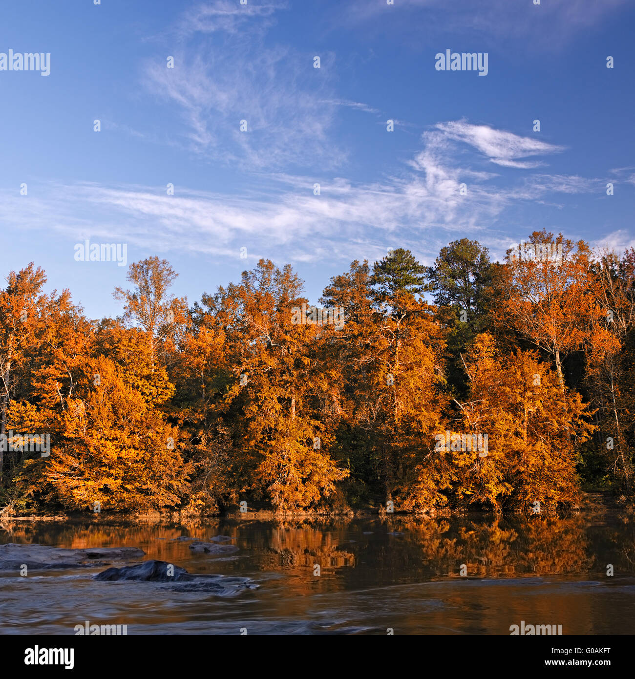Beautiful fall colors forest reflected in river Stock Photo - Alamy