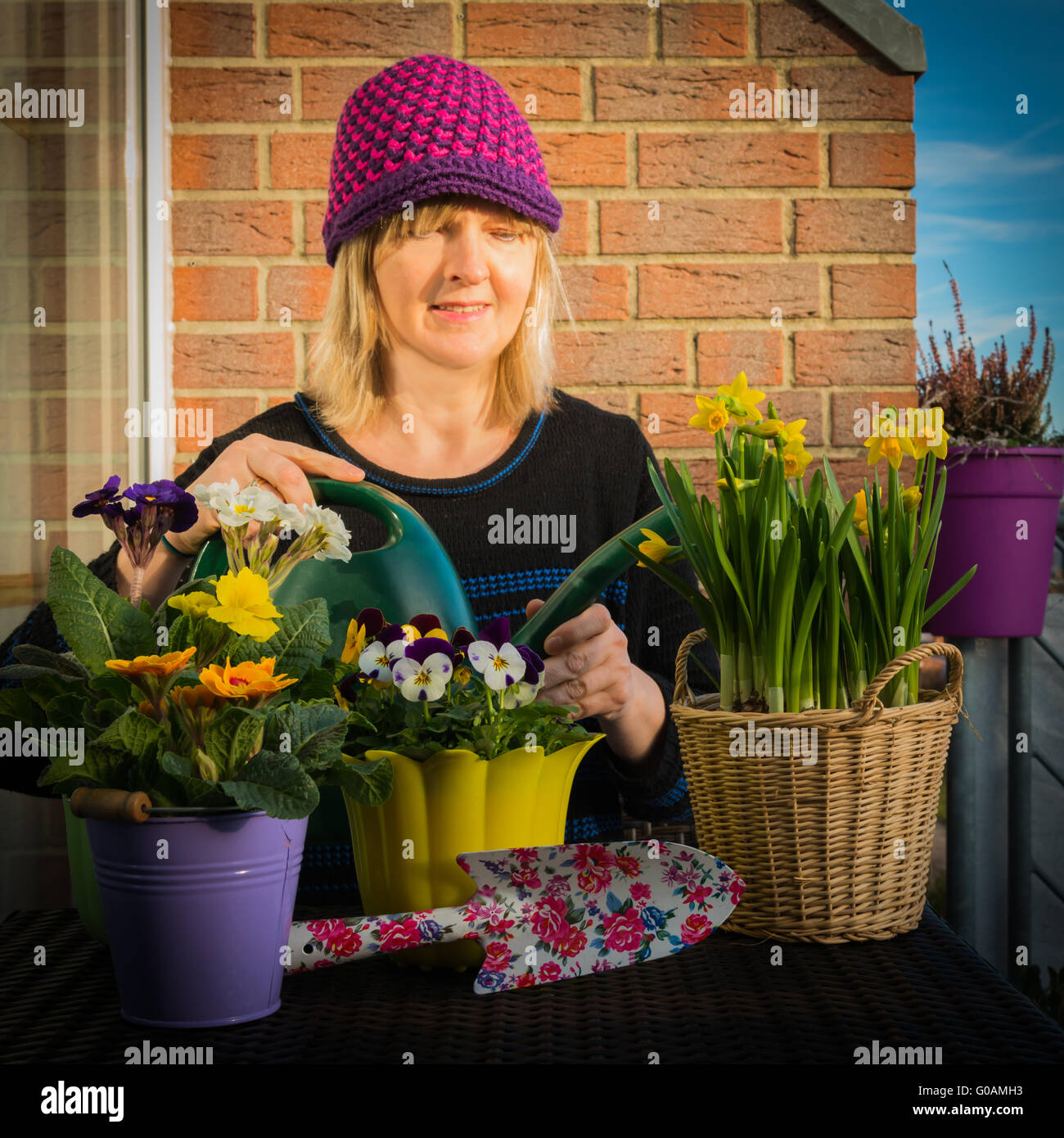Planting spring flowers hi-res stock photography and images - Alamy