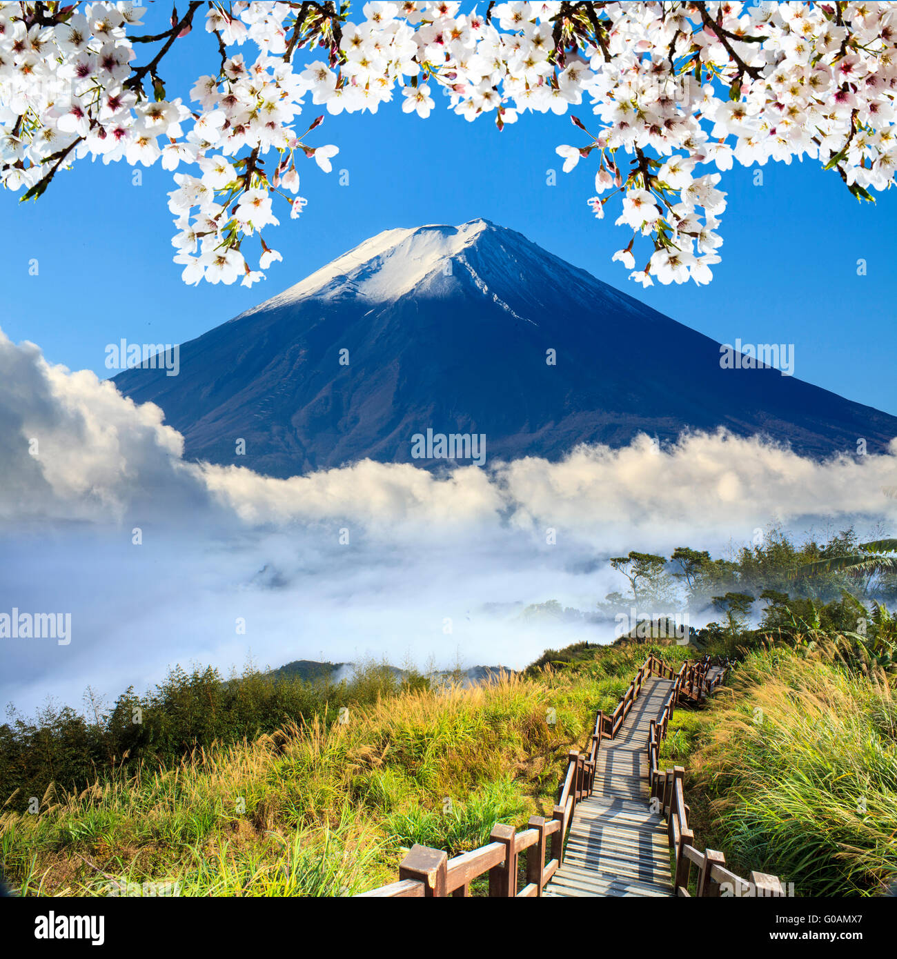 The imaaging of beautiful landscape with nice nature color Stock Photo ...