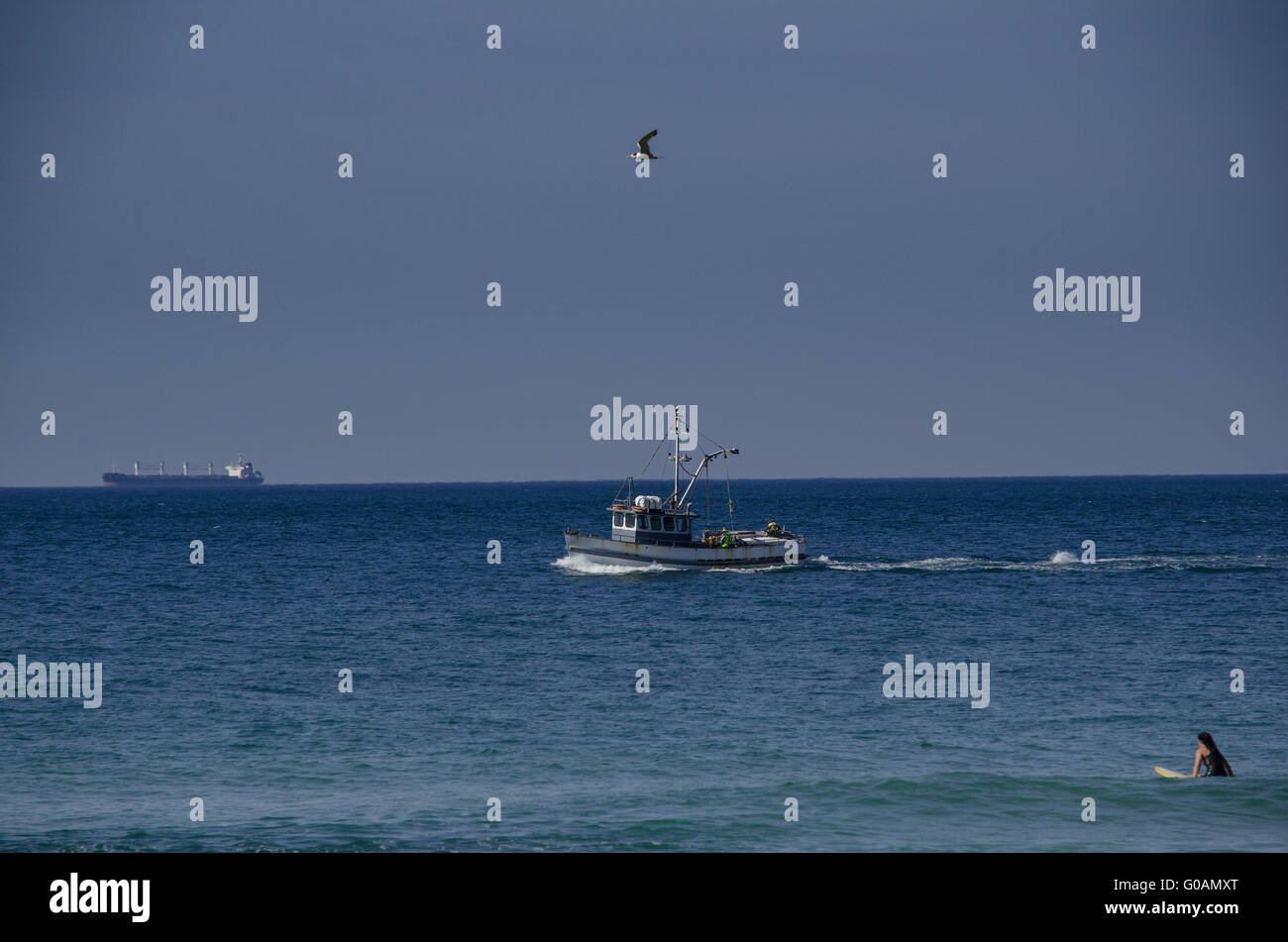Boat catching fish and surfers catching waves Stock Photo - Alamy