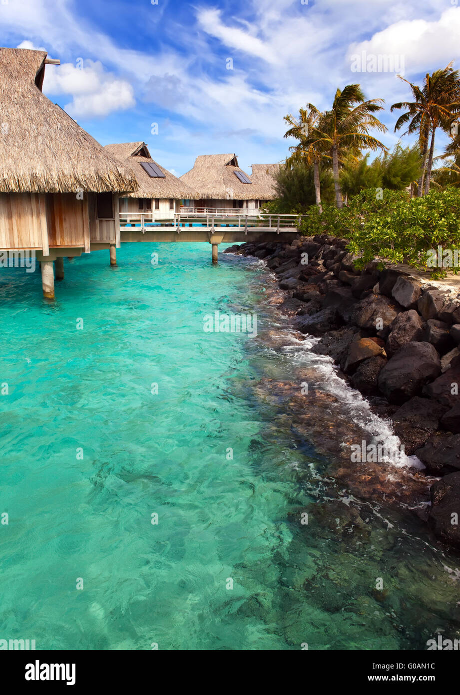 seacoast with palm trees and small houses on water Stock Photo - Alamy