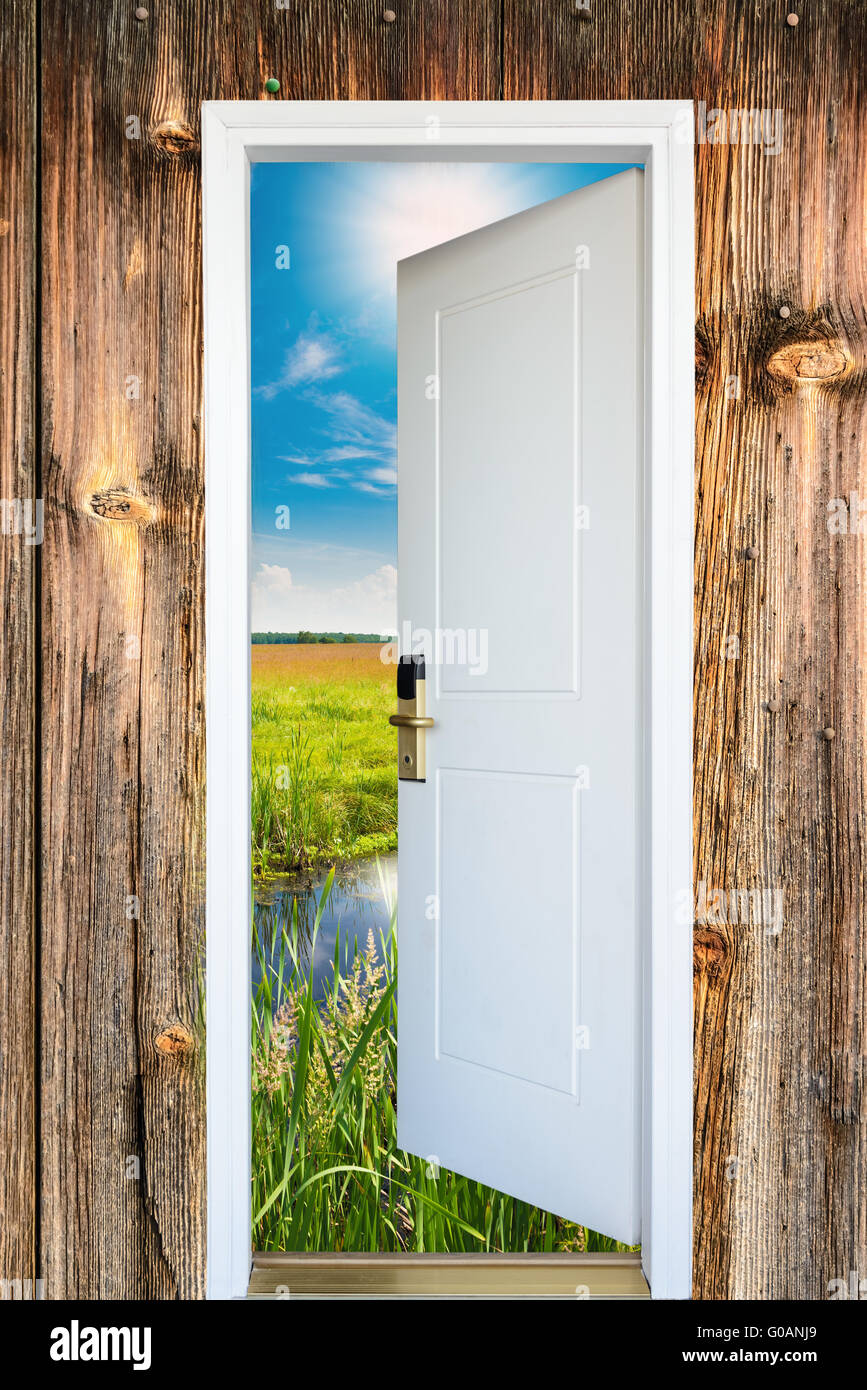 open door with a view of green meadow illuminated by bright sunshine ...
